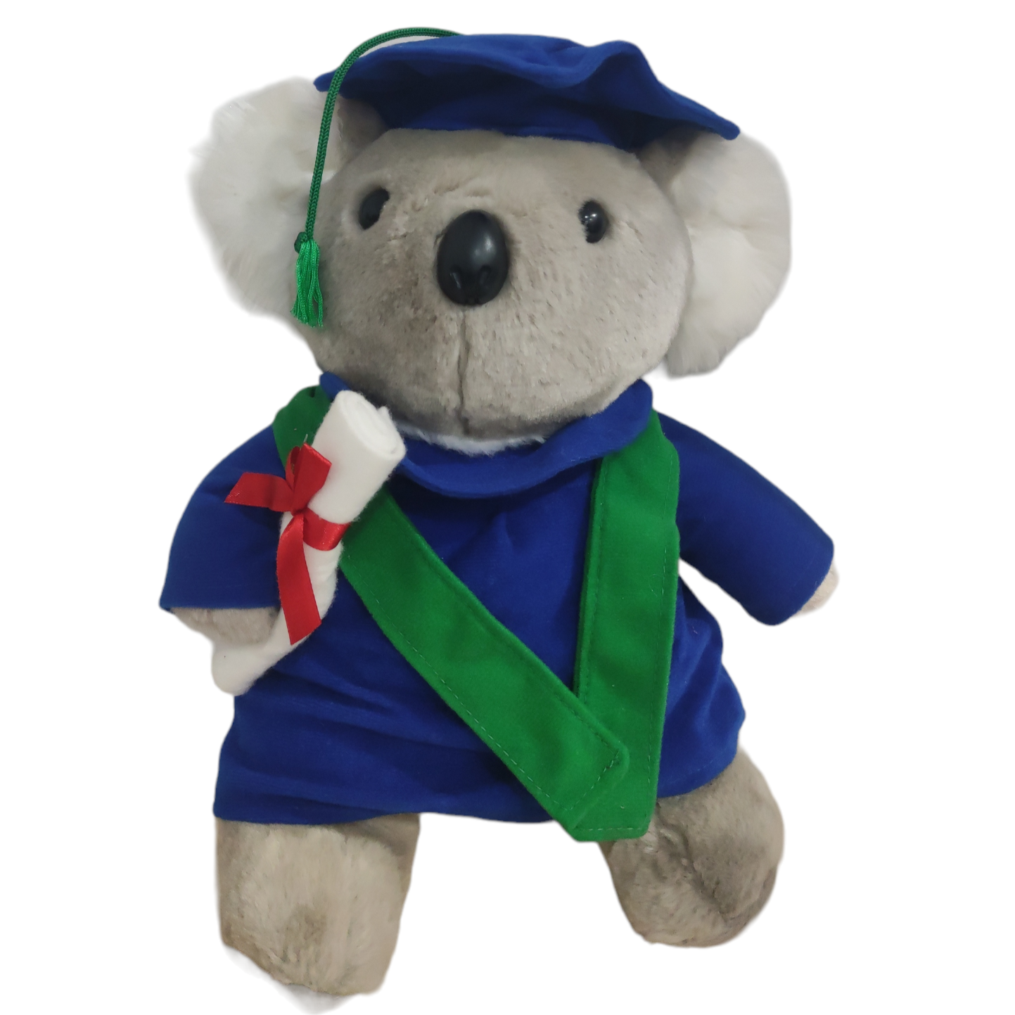 Soft Toys Graduation Koala – AURORA FLORIST